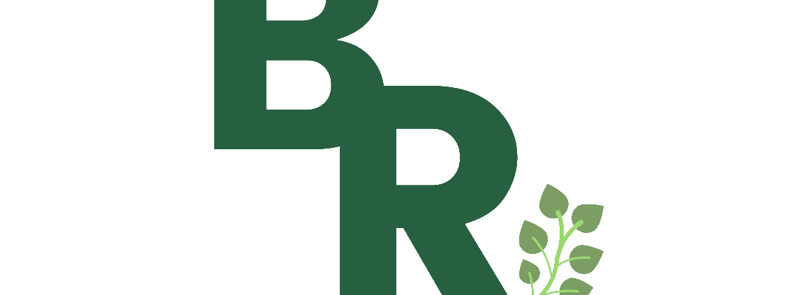 Biospheric Restoration Systems - Wellbeing Economy Alliance