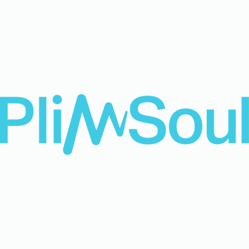 PlimSoul : Wellbeing Economy Alliance
